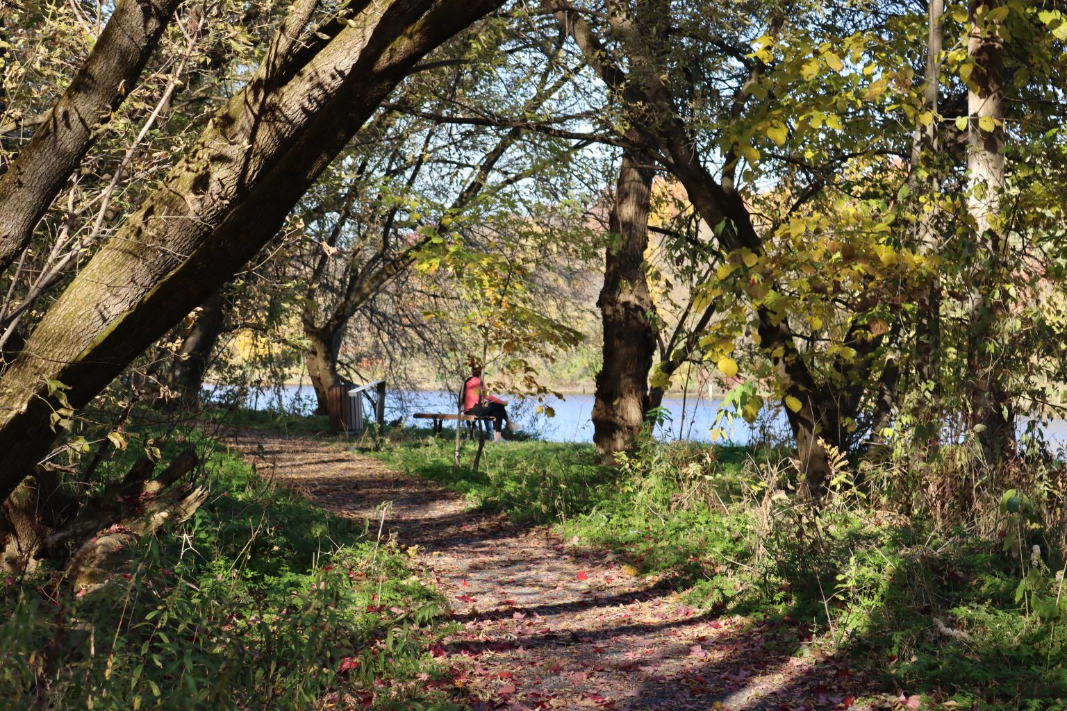 Attraits touristiques - Ville de Farnham
